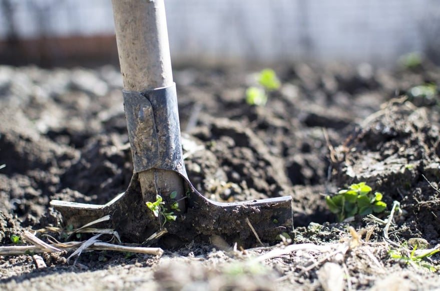 All About Soil Compaction: Causes, Challenges & Solutions [A Guide]