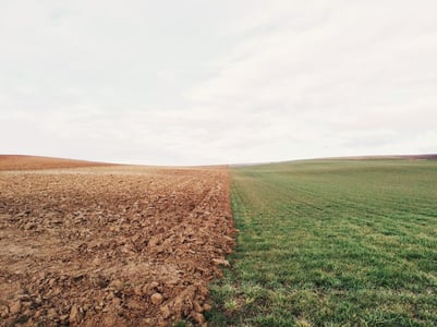 All About Soil Compaction: Causes, Challenges & Solutions [A Guide]